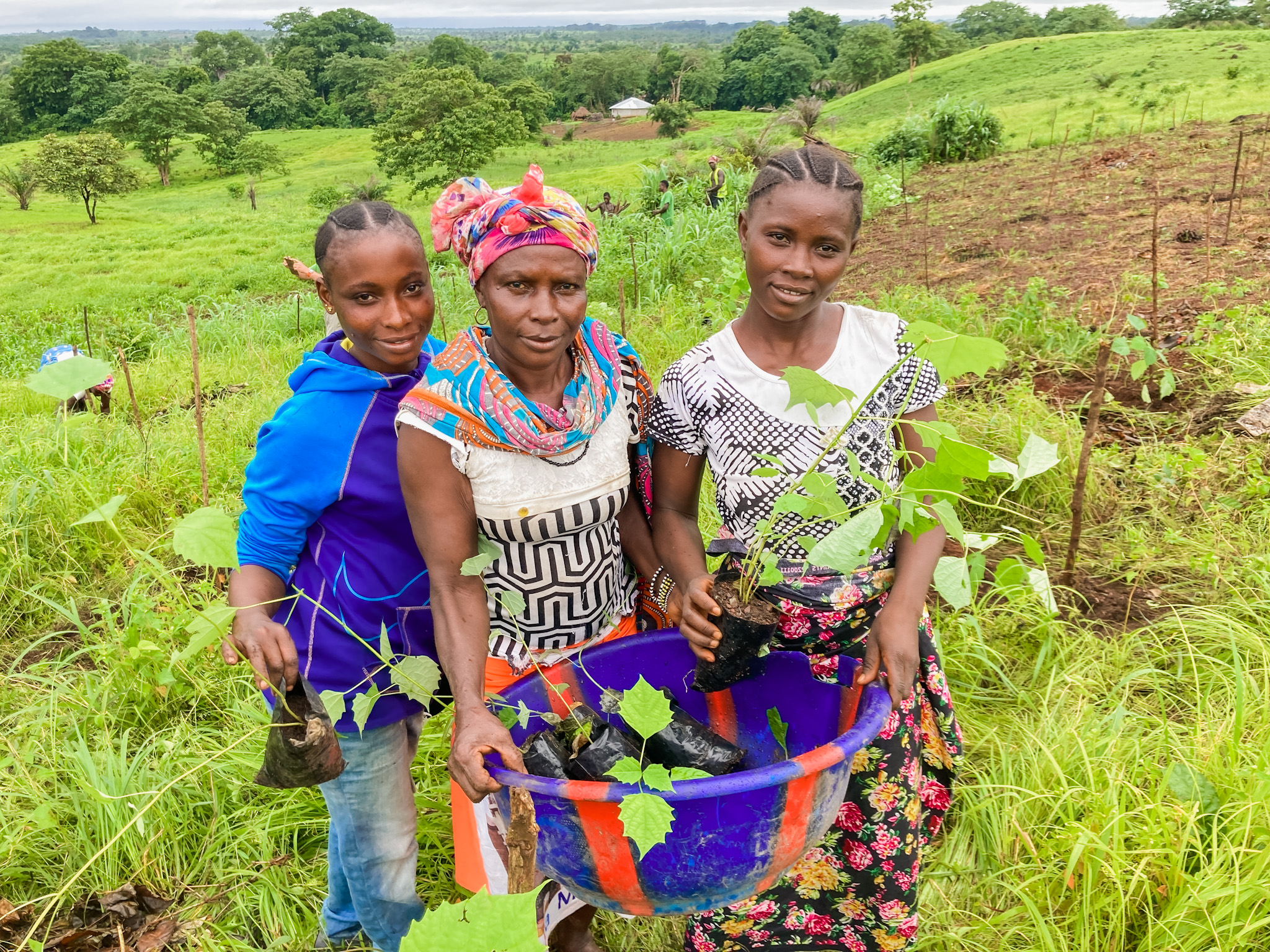 greenlimba Foundation Sierra Leone